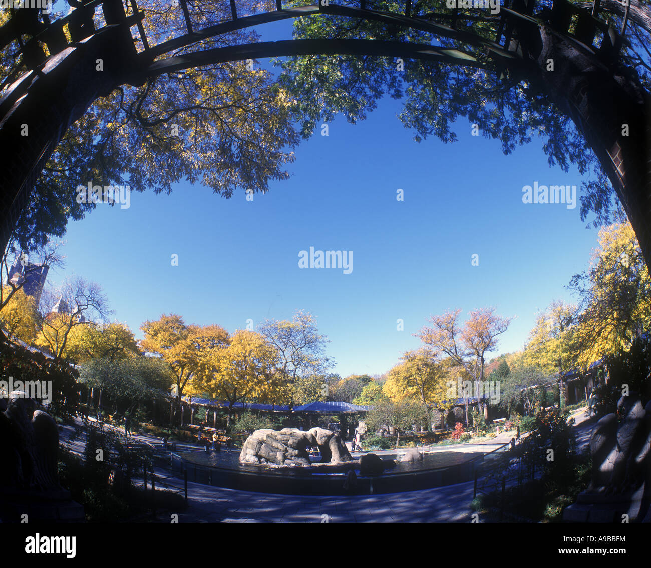 Central park zoo central park new york hi-res stock photography and ...