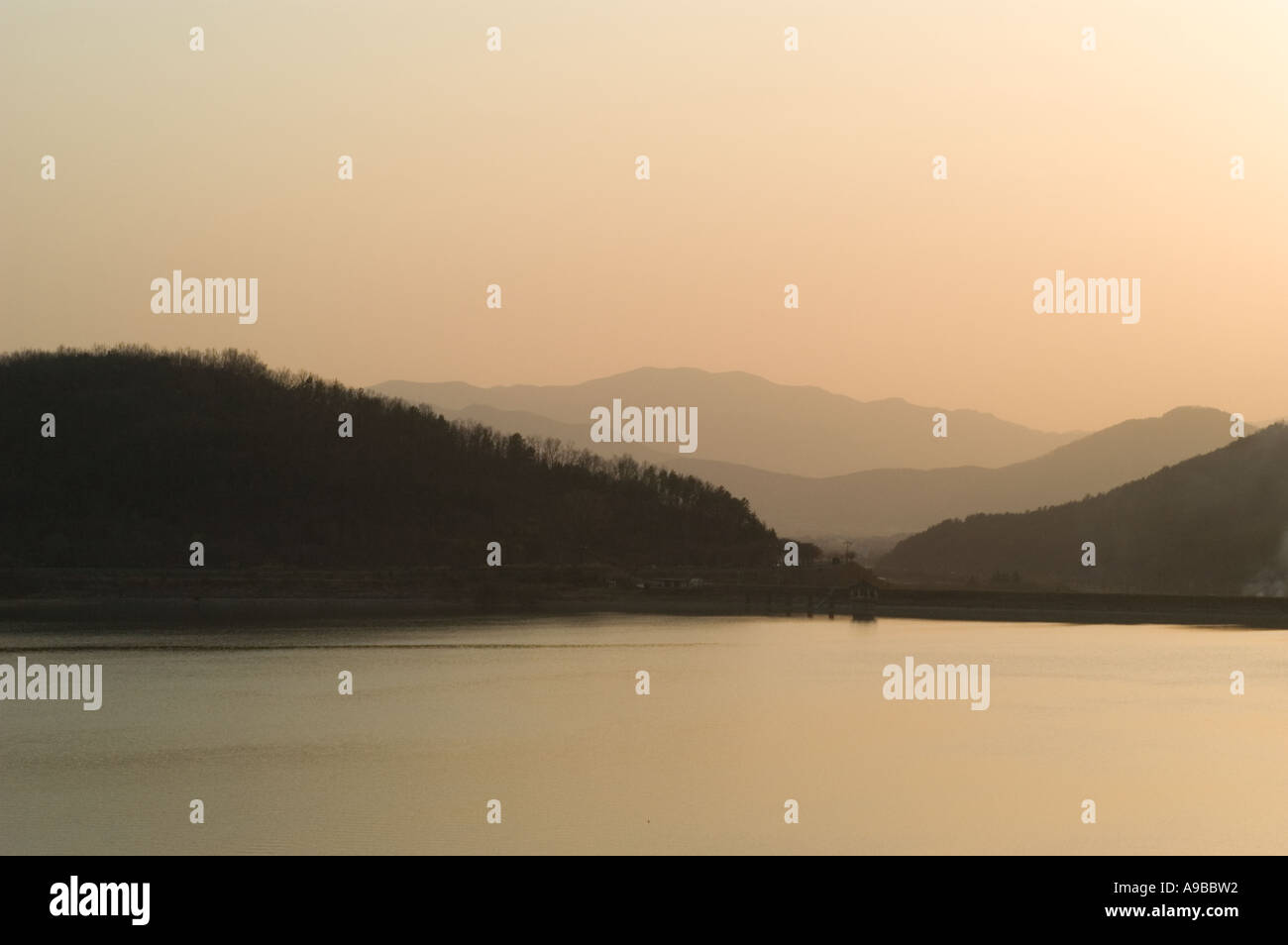 Golden bosun hi-res stock photography and images - Alamy