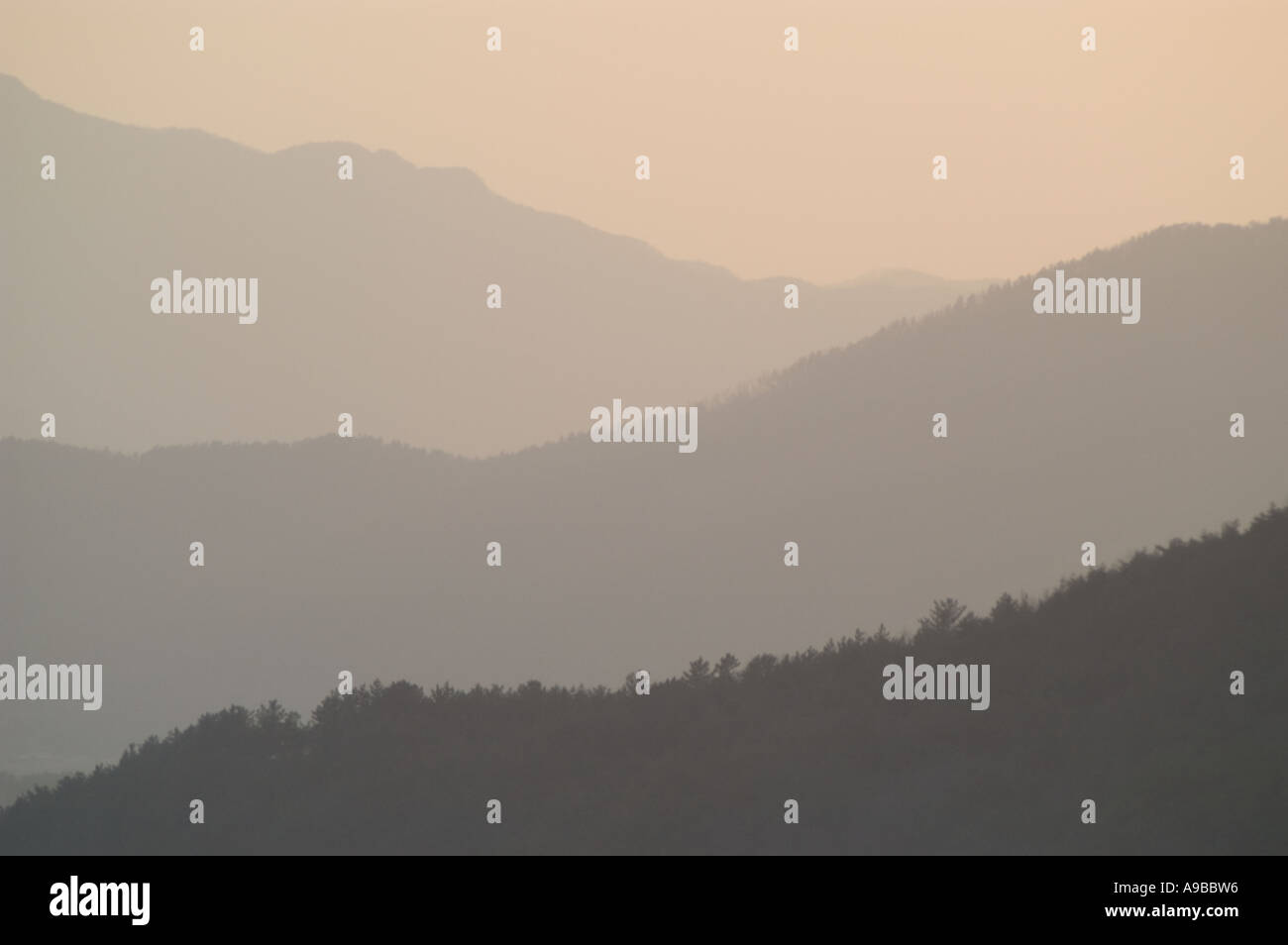 Bosun hi-res stock photography and images - Alamy