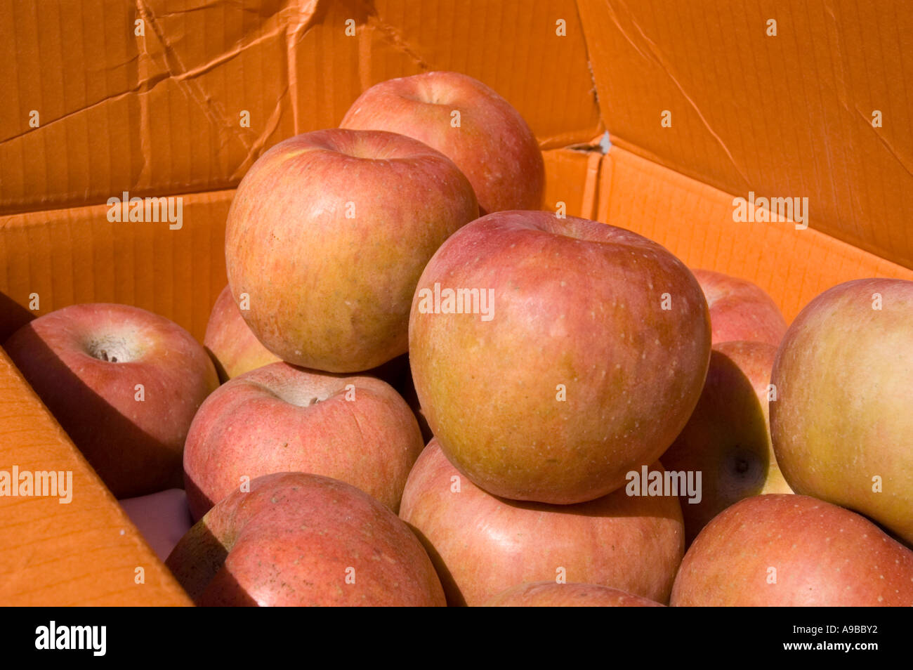 Apple fruit korean korea hi-res stock photography and images - Alamy