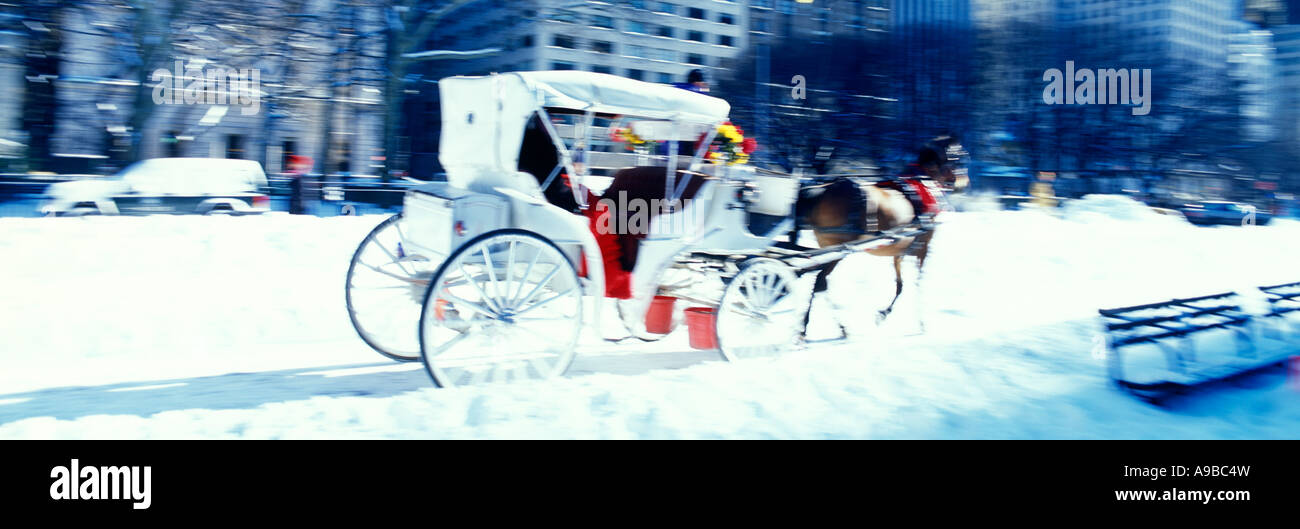 WINTER SNOW COVERED CARRIAGE RIDE CENTRAL PARK MANHATTAN NEW YORK CITY ...