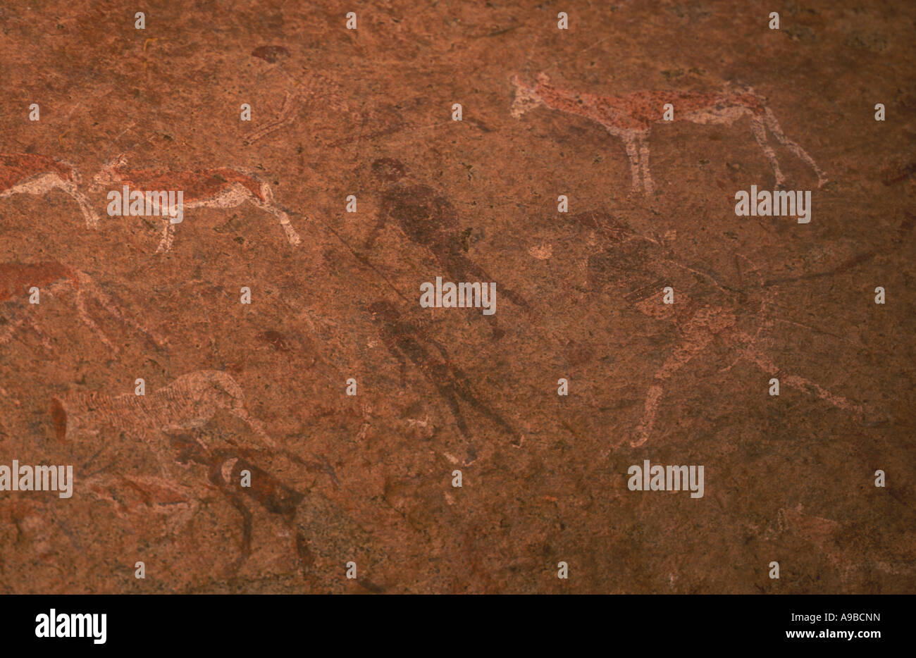 Prehistoric cave paintings "The White Lady" on Brandberg, Namibia ...