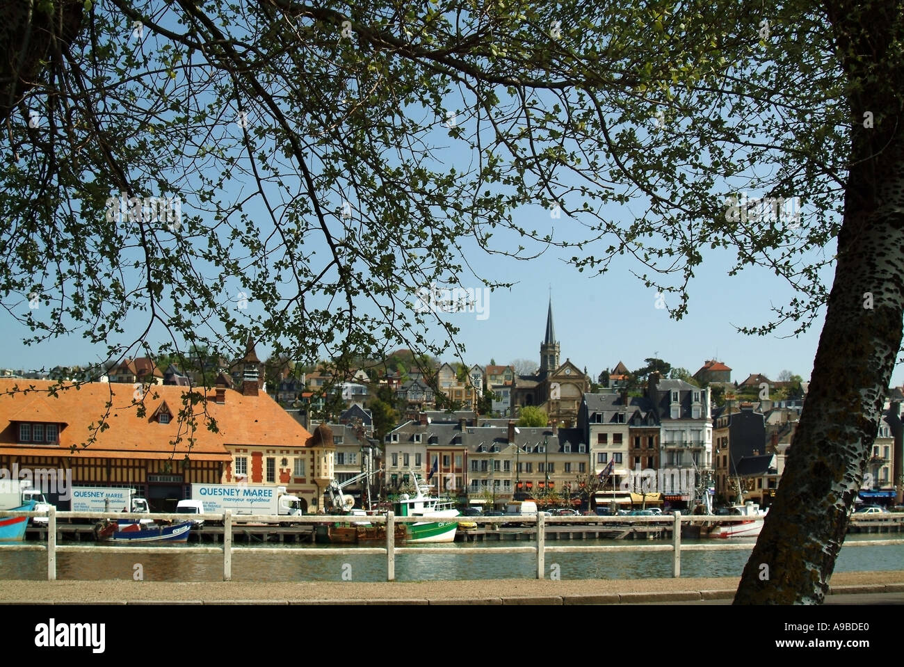 france normandy calvados trouville cote fleurie normandy corniche mouth ...