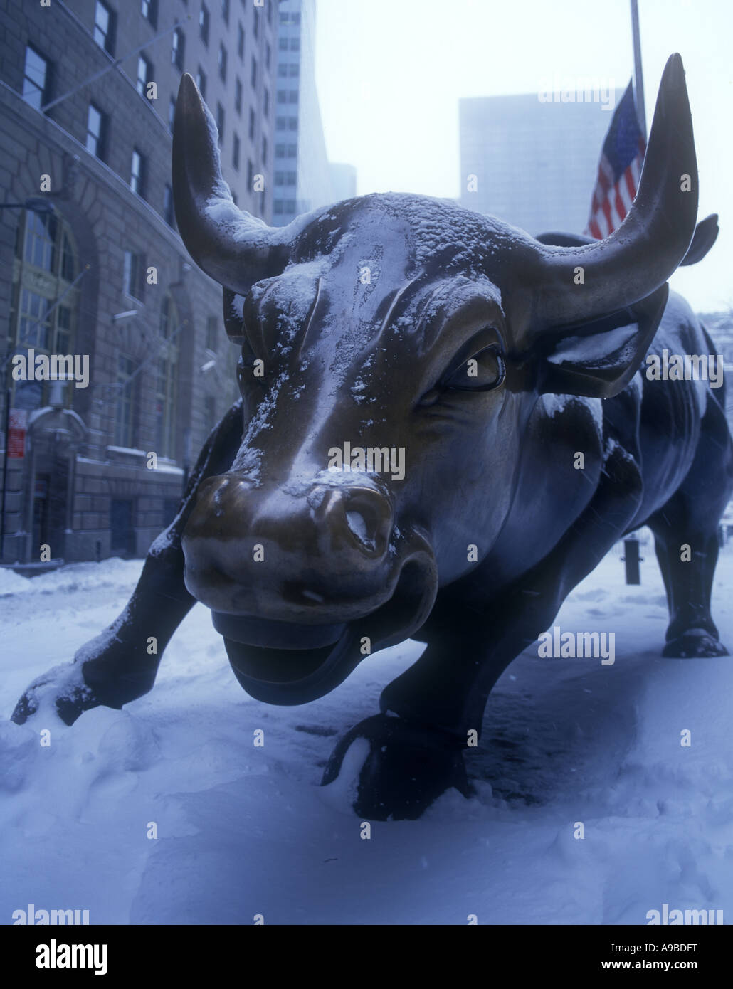 RAGING BULL STATUE (©ARTURO DI MODICA 1989) BROADWAY FINANCIAL DISTRICT ...