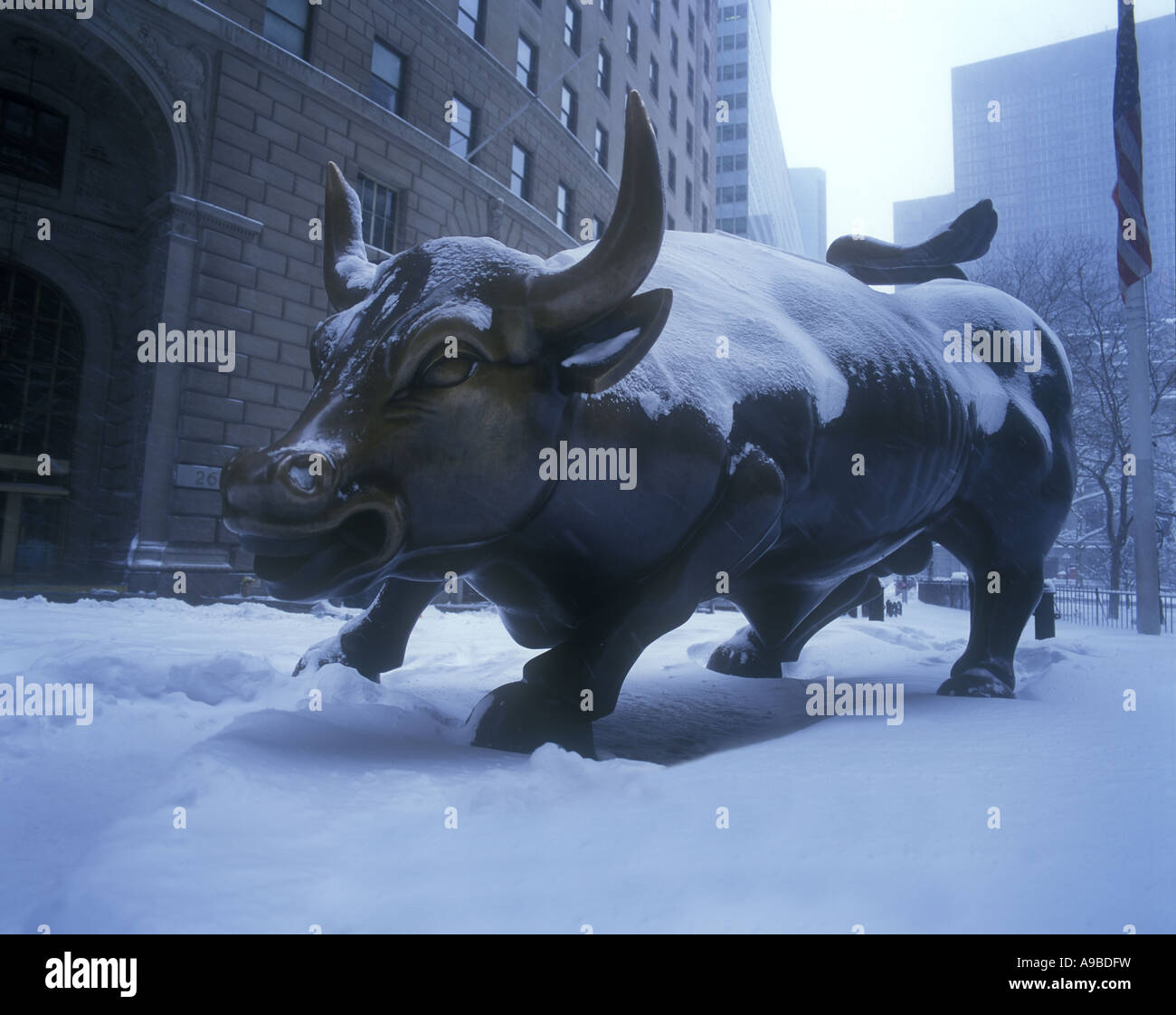 RAGING BULL STATUE (©ARTURO DI MODICA 1989) BROADWAY FINANCIAL DISTRICT ...