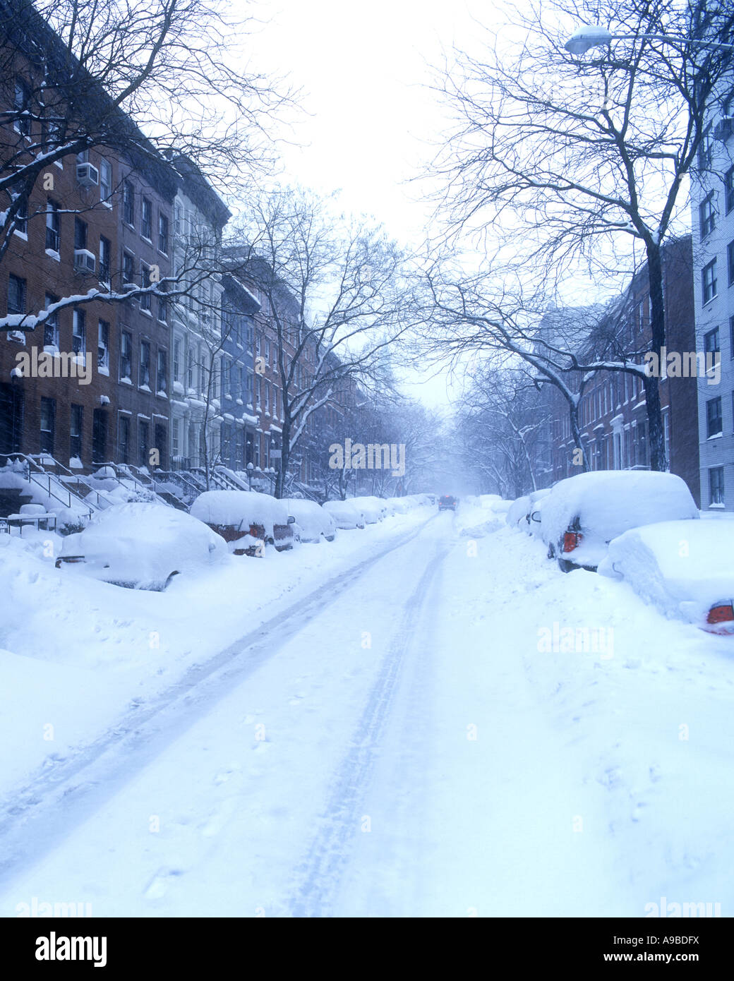SNOW COVERED BLIZZARD TWENTY SECOND STREET CHELSEA MANHATTAN NEW YORK ...