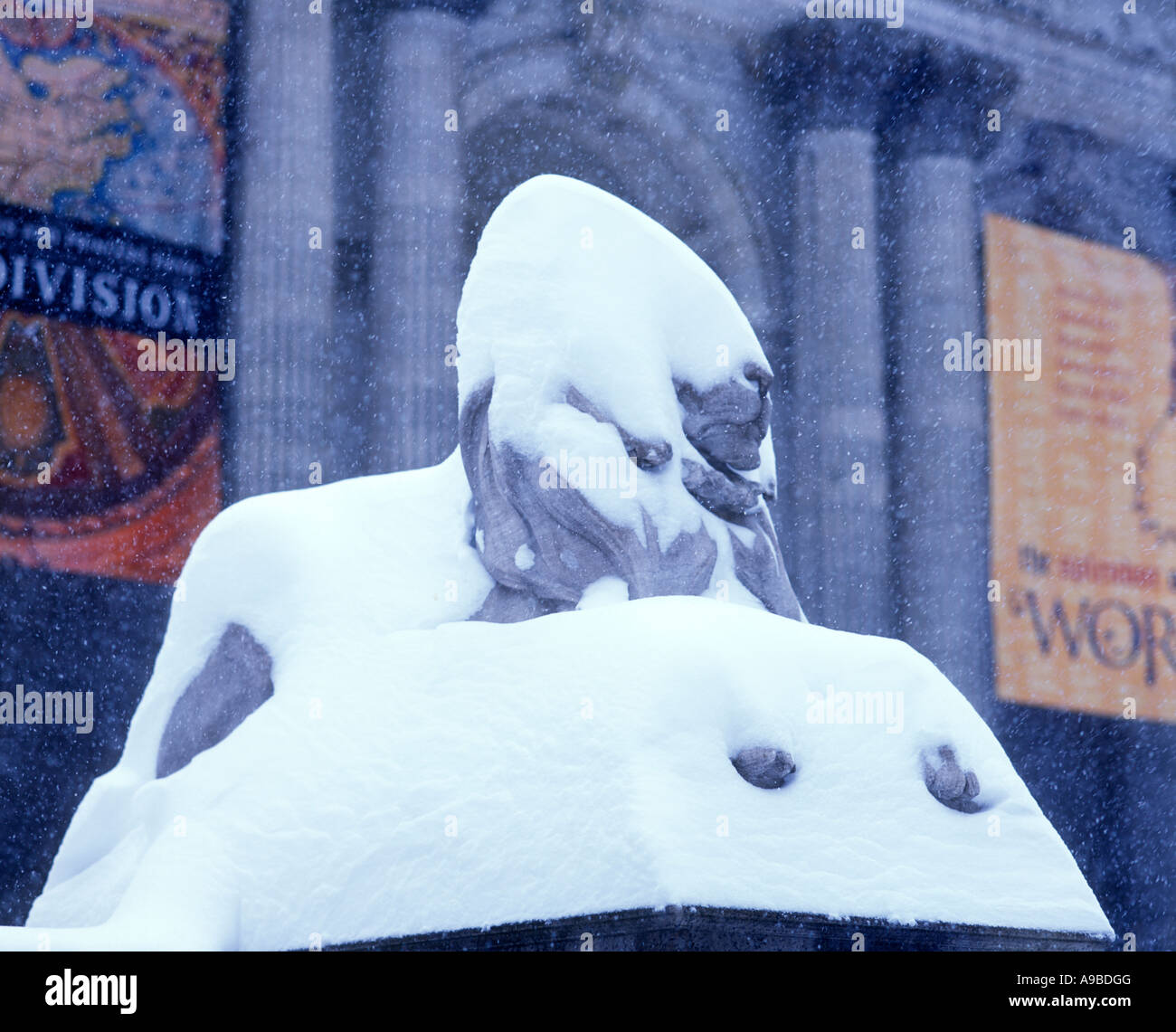 SNOW COVERED BLIZZARD MARBLE LION STATUE STEPHEN A SCHWARZMAN MAIN ...