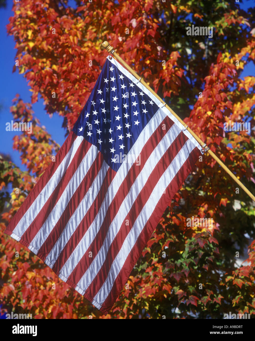UNITED STATES FLAG FALL FOLIAGE PENNSYLVANIA USA Stock Photo - Alamy