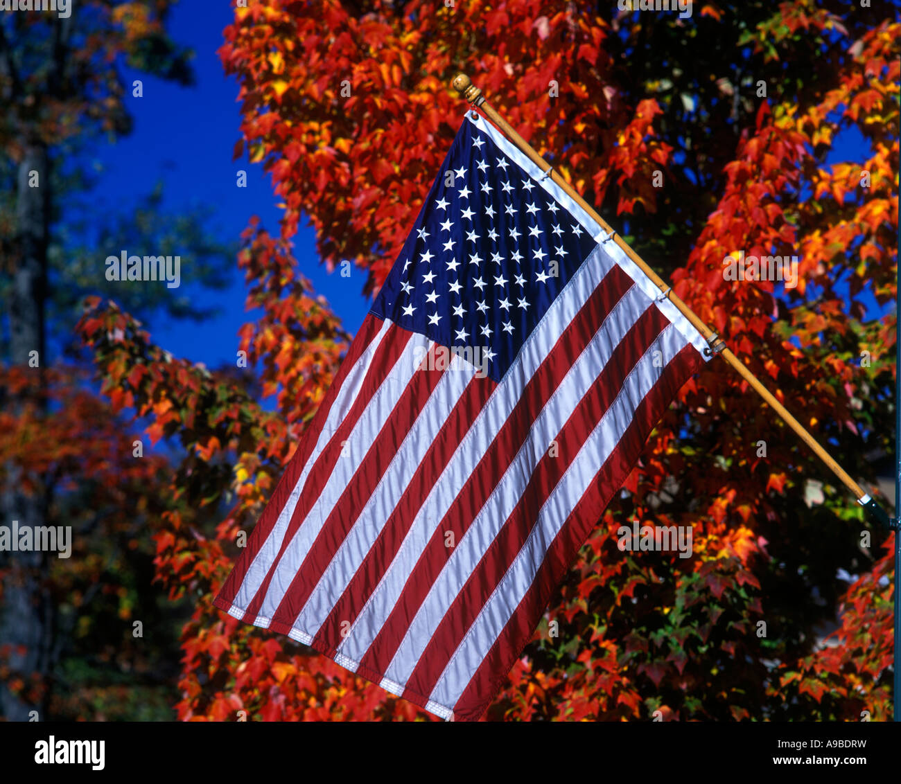 UNITED STATES FLAG FALL FOLIAGE PENNSYLVANIA USA Stock Photo - Alamy