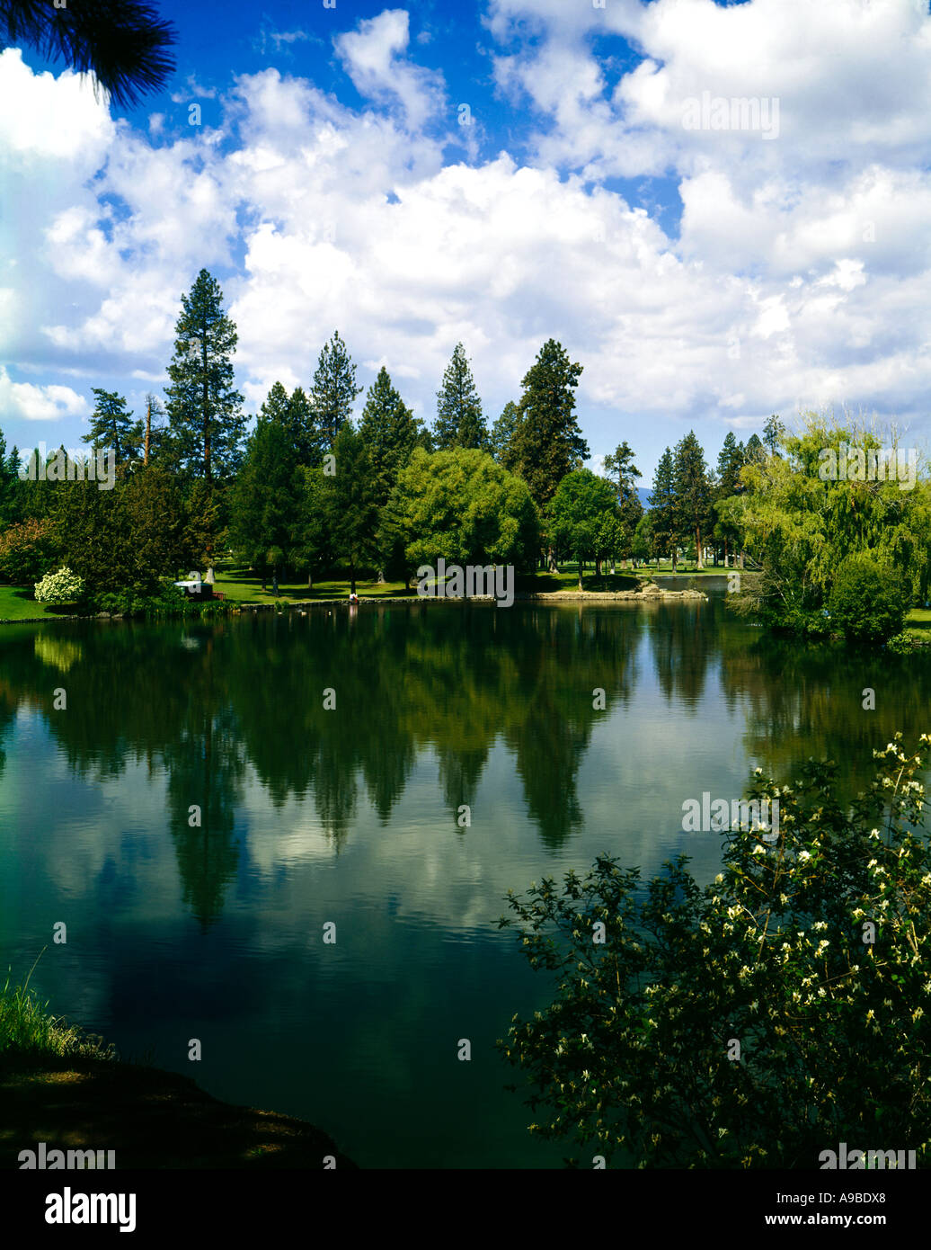 Calm reflective waters of Mirror Pond under fairweather clouds and ...