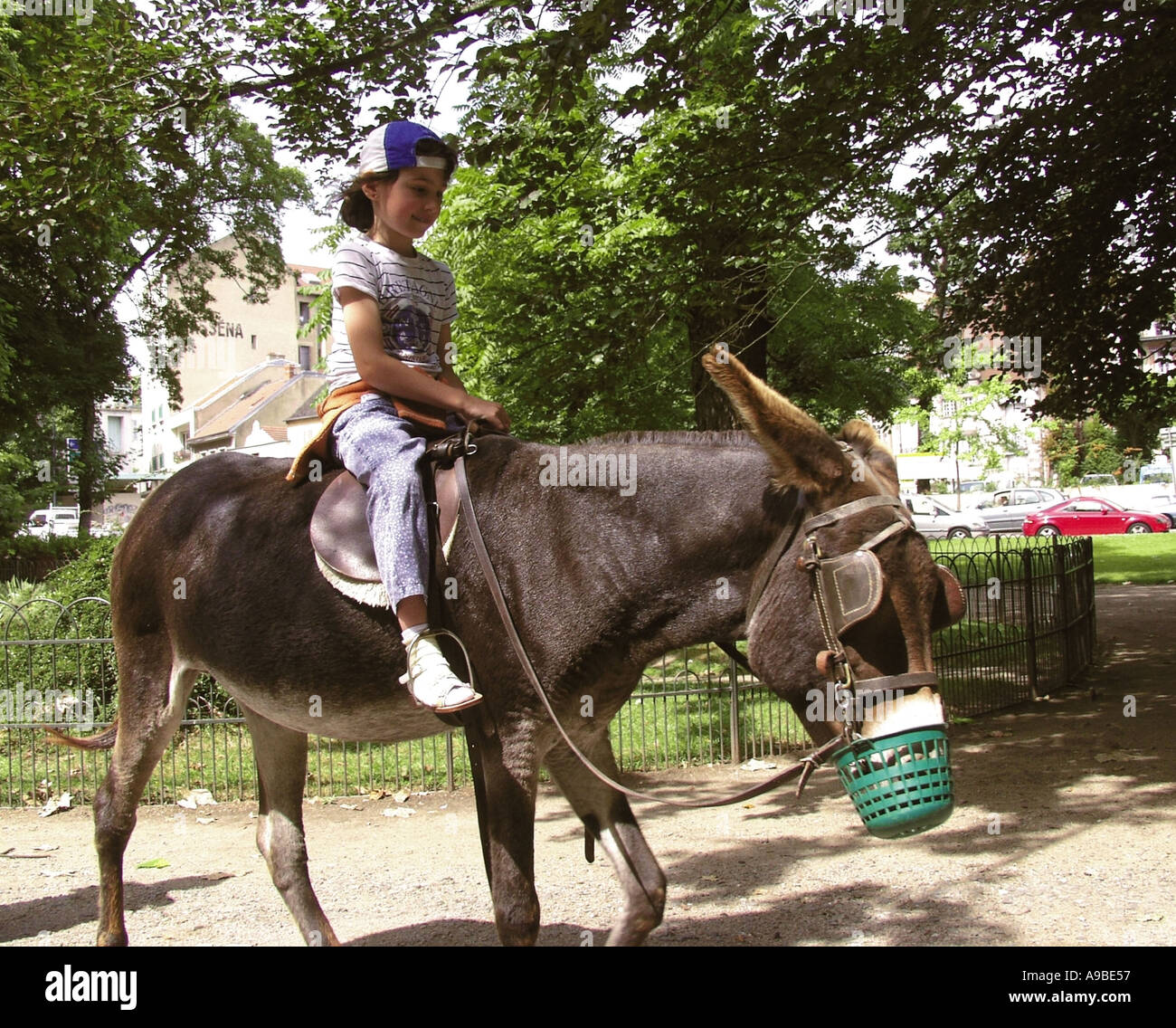 Children donkey donkey ride hi-res stock photography and images - Alamy