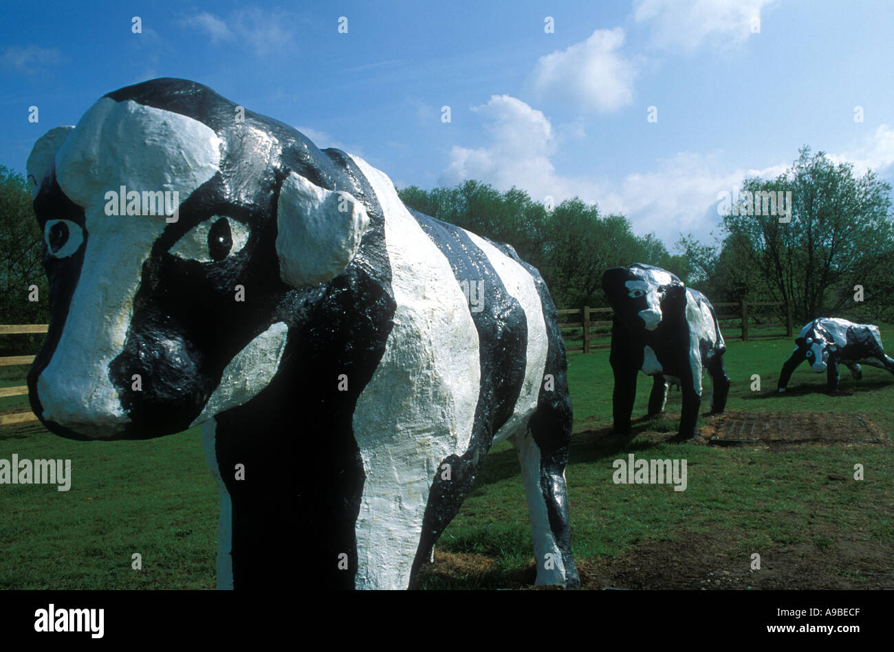 Concrete cows Milton Keynes Buckinghamshire England Stock Photo - Alamy