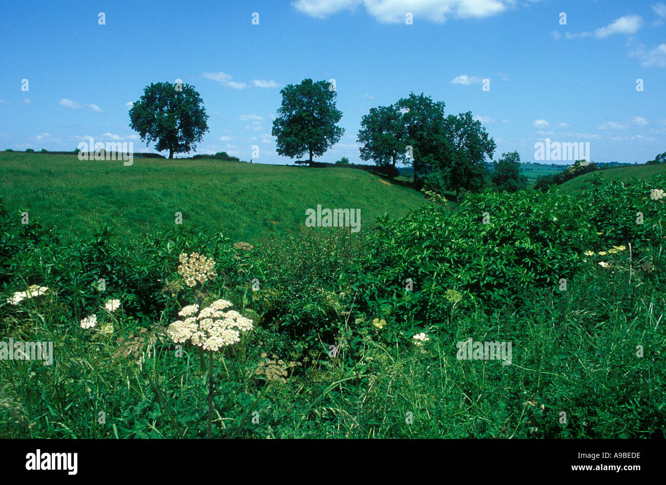 Badby northamptonshire hi-res stock photography and images - Alamy