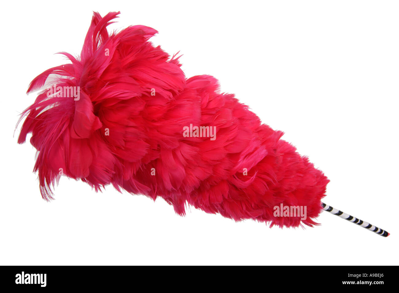 Feather duster hi-res stock photography and images - Alamy