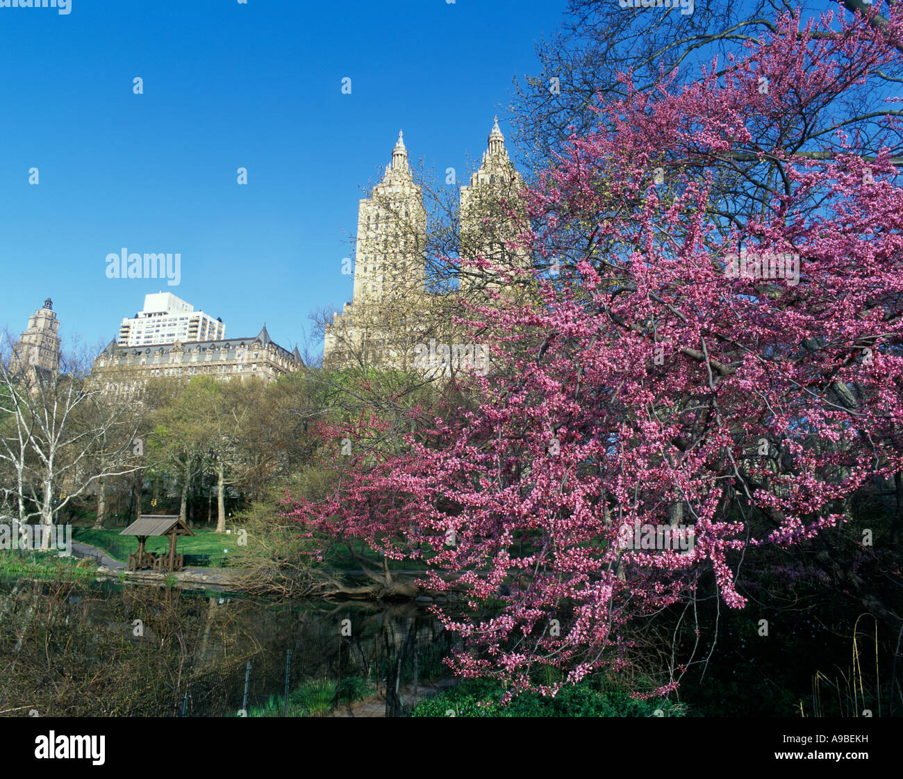 SPRING CENTRAL PARK WEST MANHATTAN NEW YORK CITY USA Stock Photo - Alamy