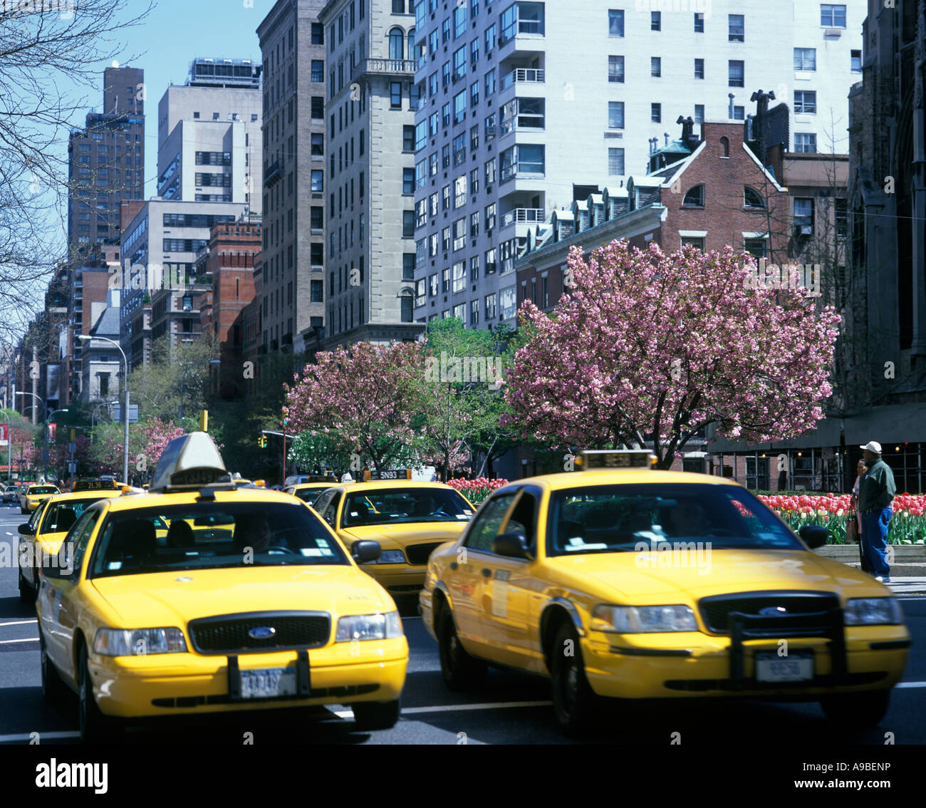 YELLOW TAXI CABS PARK AVENUE MIDTOWN MANHATTAN NEW YORK CITY USA Stock ...