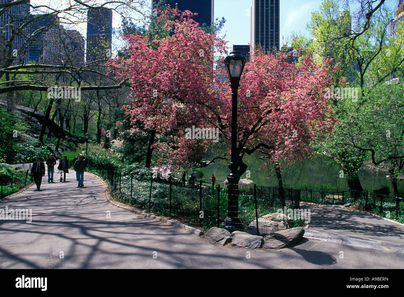 SPRING CENTRAL PARK MANHATTAN NEW YORK CITY USA Stock Photo - Alamy