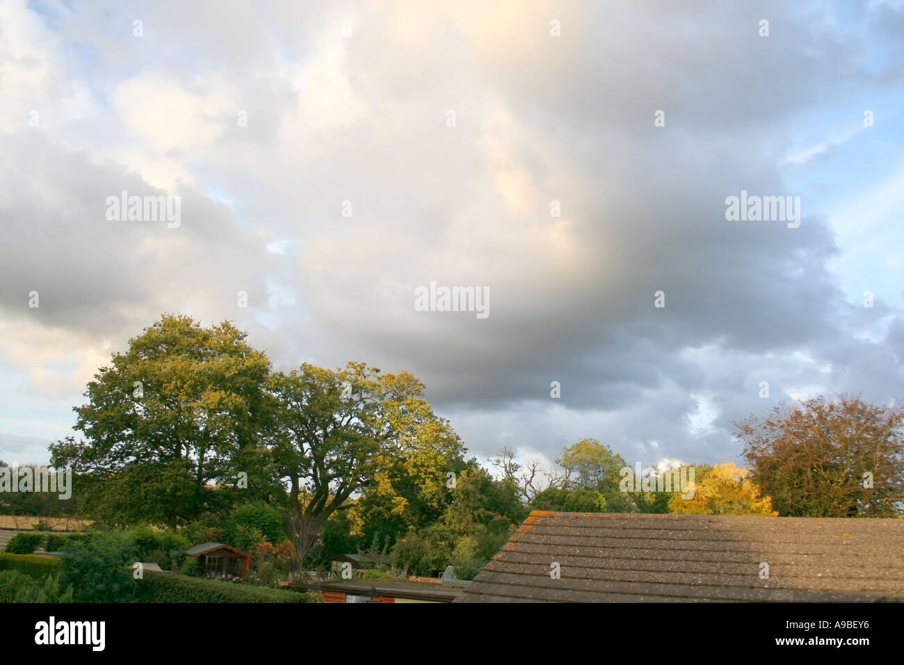 Cumulus clouds. Blue sky. Tree tops and roof. Autumn. Fall. Dorset ...