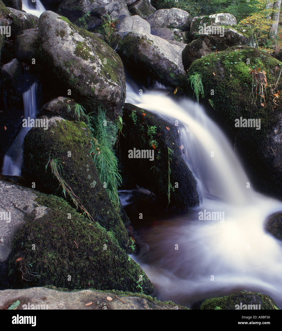 Water cascading among rocks on Becky Fall Dartmoor National Park Devon ...