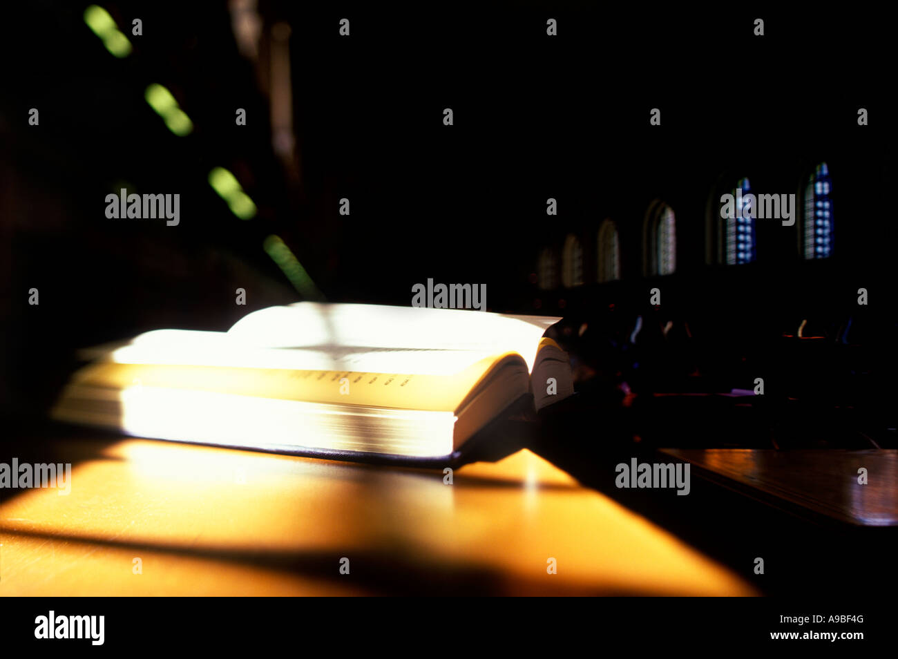 An afternoon in library hi-res stock photography and images - Alamy