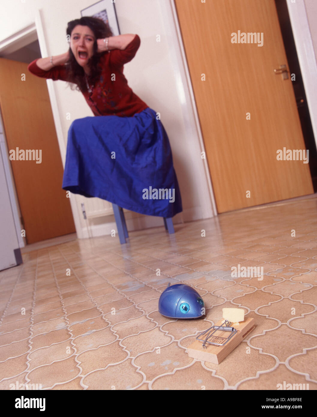 Funny mouse trap hi-res stock photography and images - Alamy