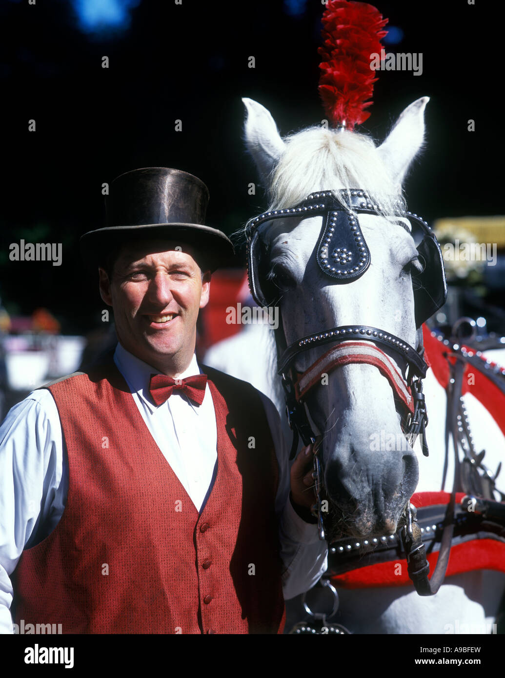 HORSE CARRIAGE DRIVER CENTRAL PARK SOUTH MANHATTAN NEW YORK CITY USA ...