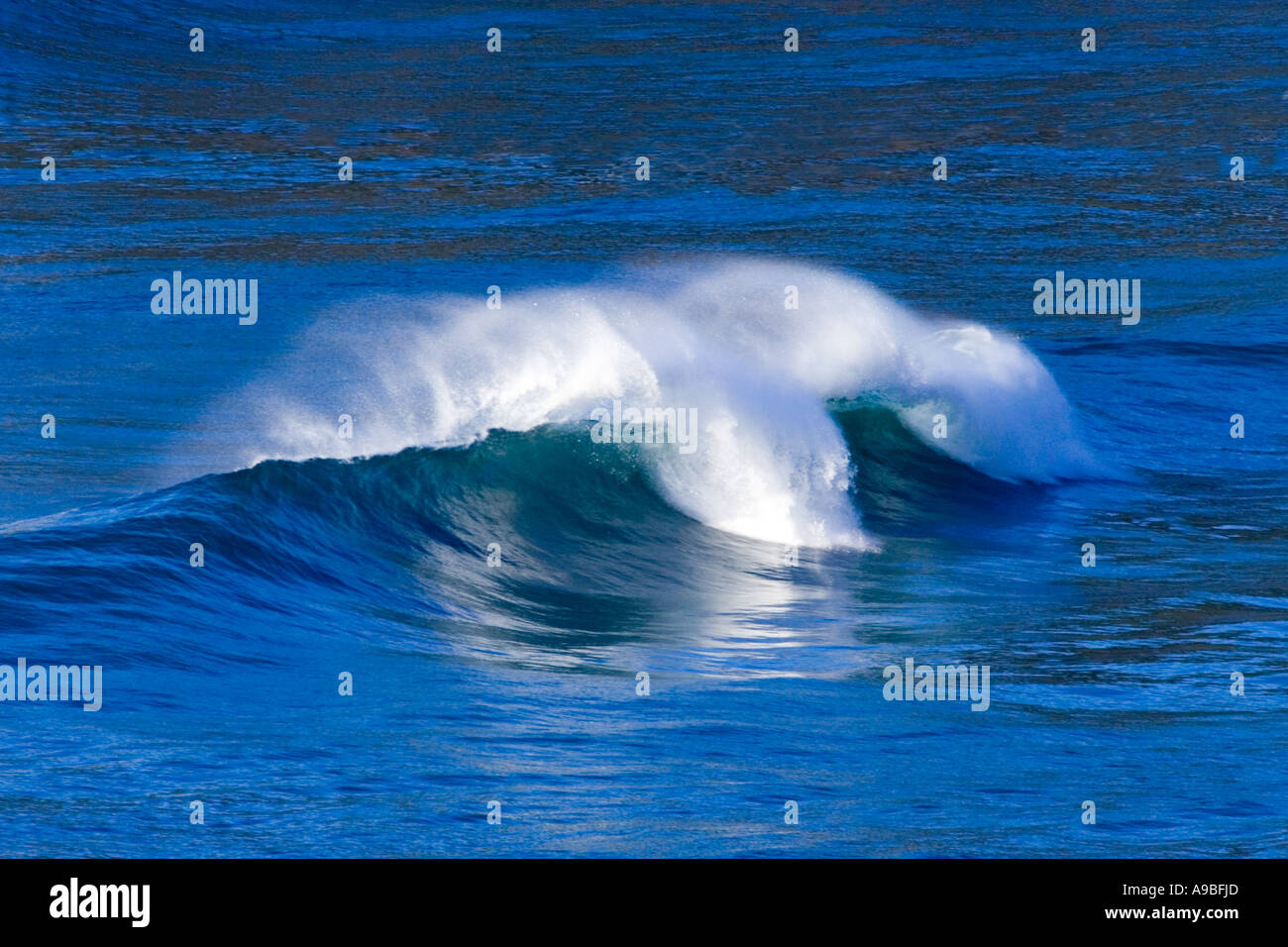 Blue wave captured off the Oregon Coast Stock Photo - Alamy