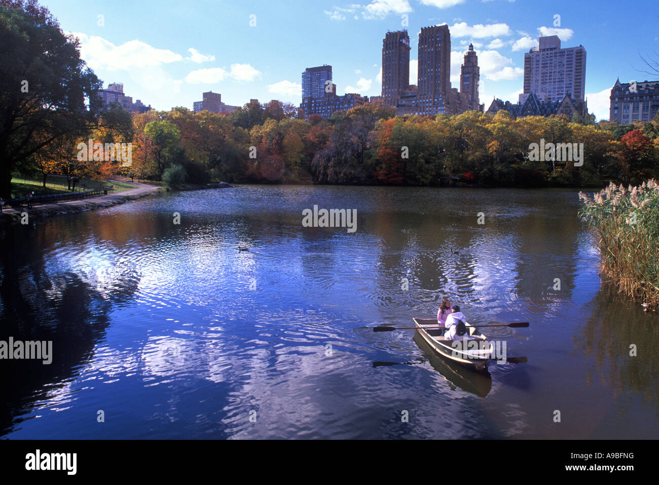 ROW BOAT THE LAKE CENTRAL PARK MANHATTAN NEW YORK CITY USA Stock Photo ...