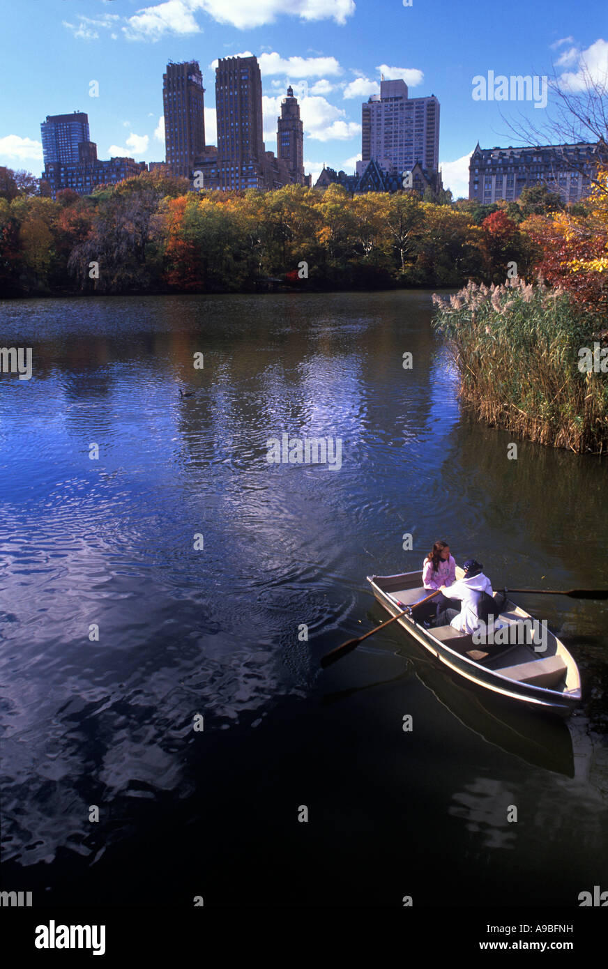 ROW BOAT THE LAKE CENTRAL PARK MANHATTAN NEW YORK CITY USA Stock Photo ...