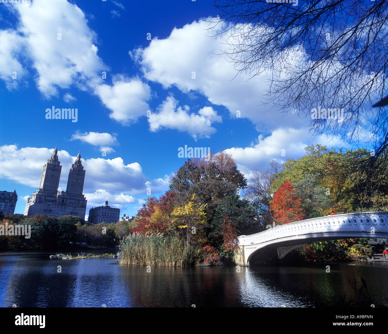 BOW BRIDGE (©CALVERT VAUX 1860) THE LAKE CENTRAL PARK MANHATTAN NEW ...