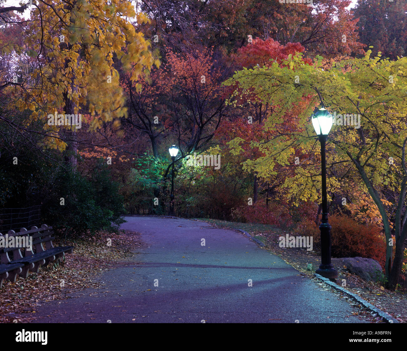 PATH CENTRAL PARK MANHATTAN NEW YORK CITY USA Stock Photo - Alamy