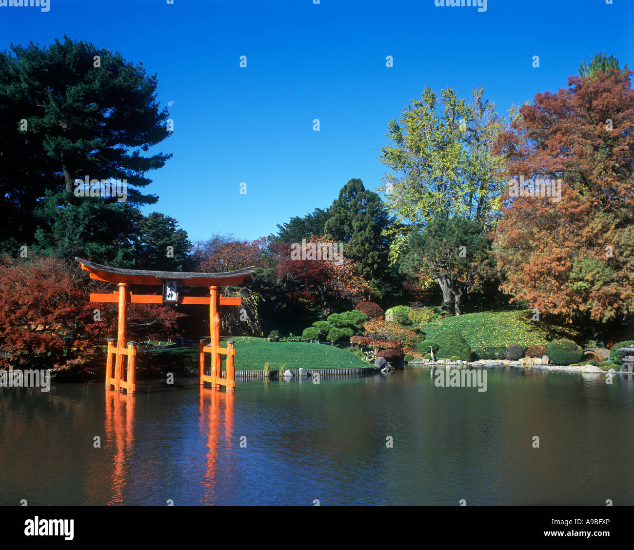 Brooklyn botanical garden japanese hill and pond garden hi-res stock ...