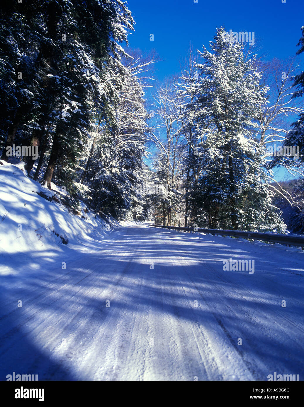 SNOW COVERED ROAD PENNSYLVANIA USA Stock Photo - Alamy