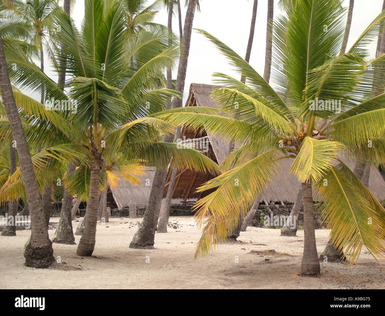 Hawaiian structures hi-res stock photography and images - Alamy