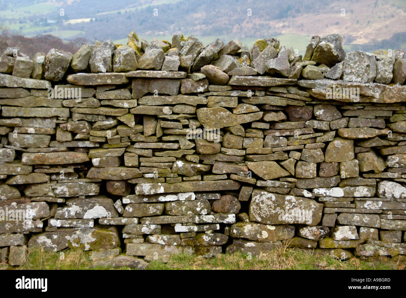 Dry stone boundary wall at Craig Cerrig Gleisiad a Fan Frynych National ...