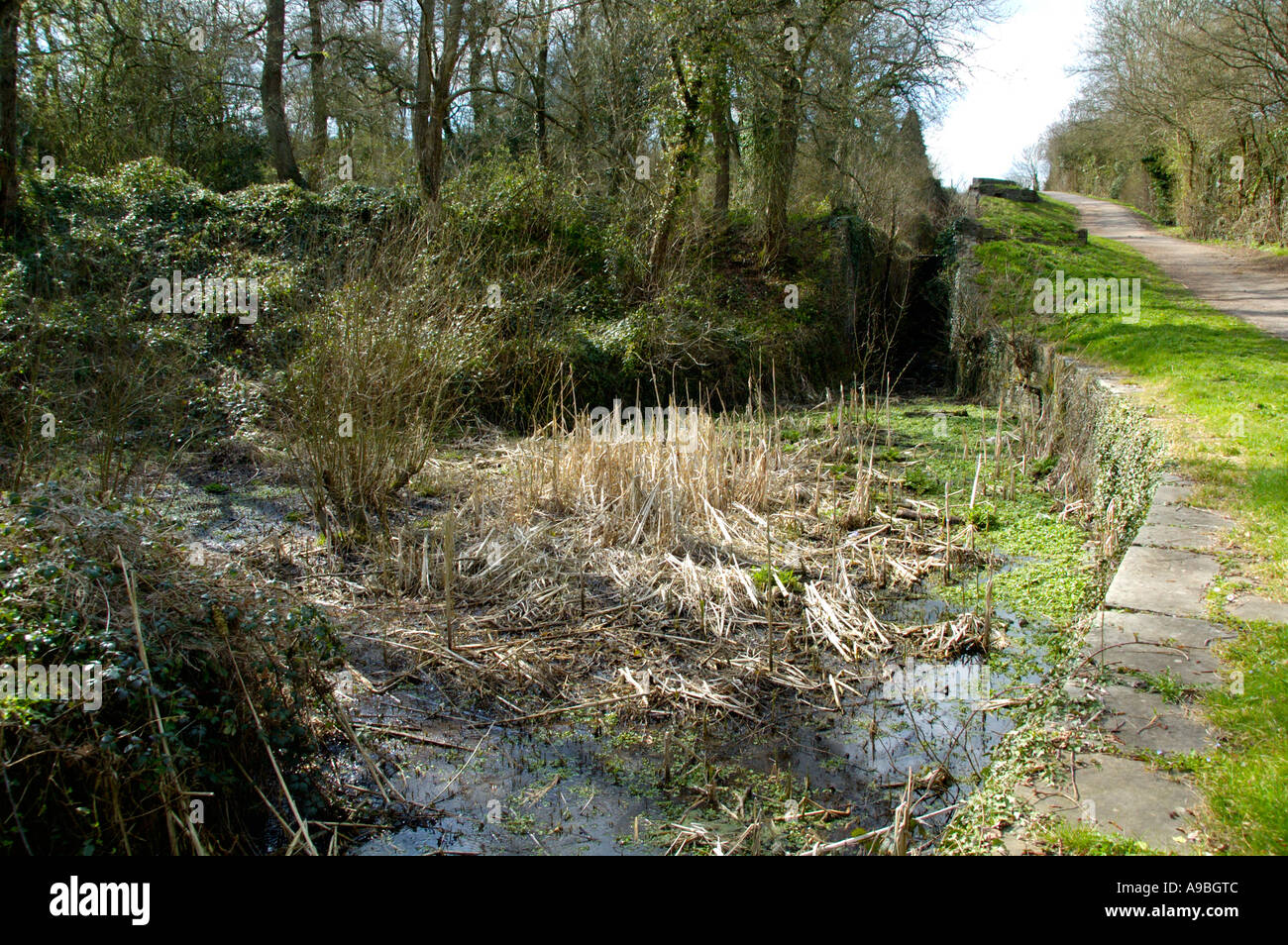Derelict section of the Crumlin Arm of Monmouthshire and Brecon Canal ...