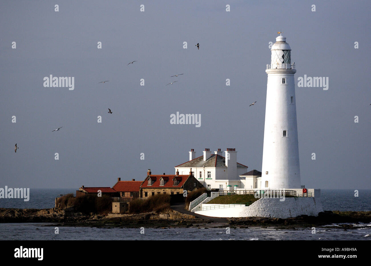 St Mary s lighthouse and island nr Whitney Bay Newcastle upon Tyne ...
