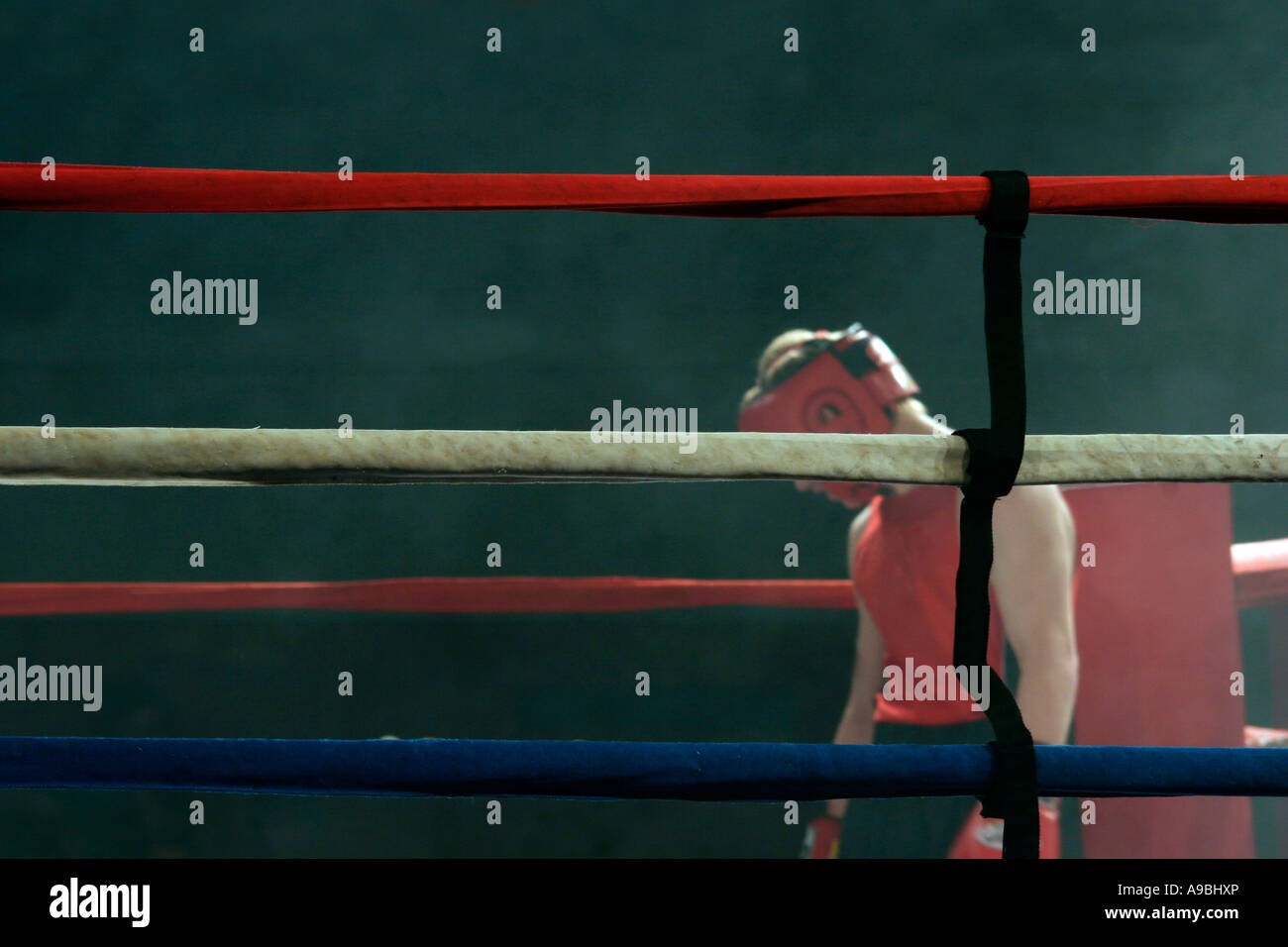 Defated boxer after a boxing match Stock Photo - Alamy