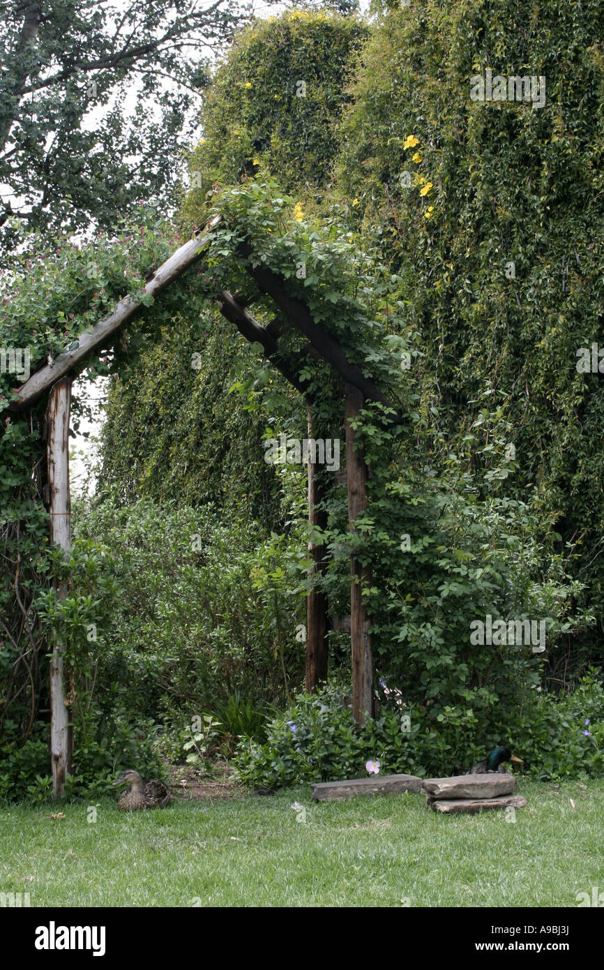 Magical overgrown garden hi-res stock photography and images - Alamy