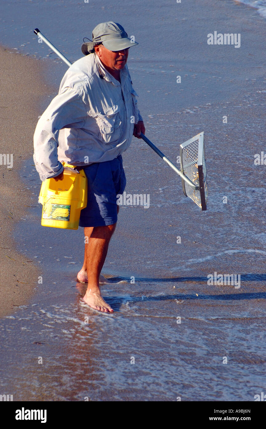 Man collecting shellfish Stock Photo - Alamy