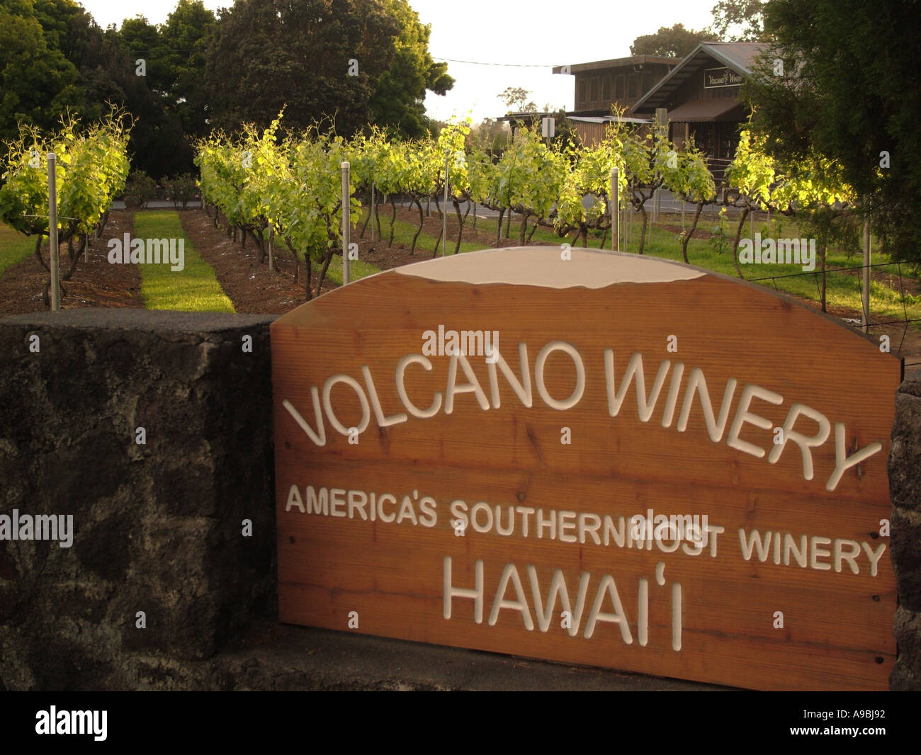 Hawaii big island volcano village hi-res stock photography and images ...