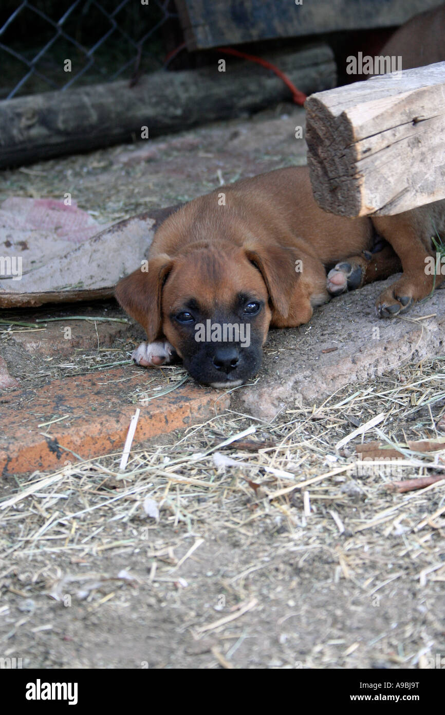 Resting frown hi-res stock photography and images - Alamy