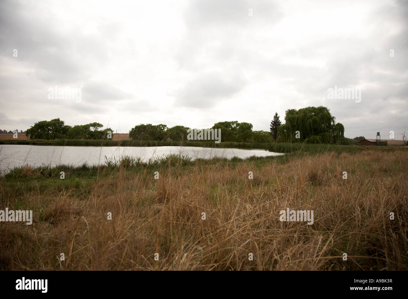 Farmland with dam on overcast day Stock Photo - Alamy