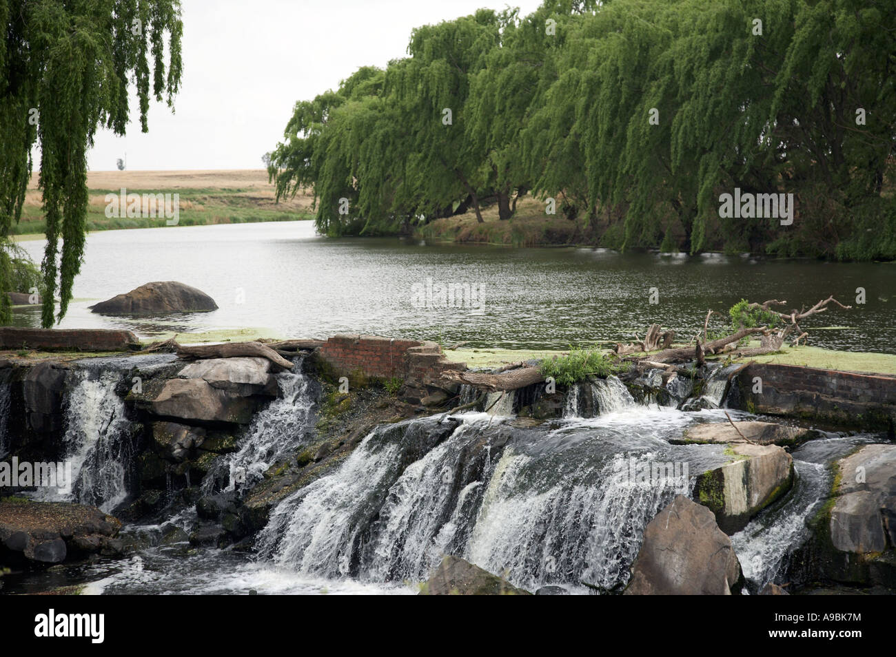 Dam and stream on farm Stock Photo - Alamy