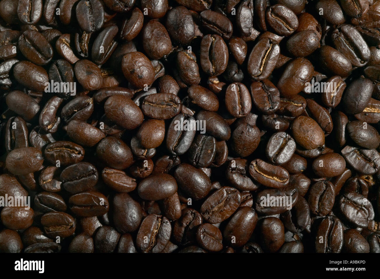 Full bleed photograph of coffee beans Stock Photo - Alamy