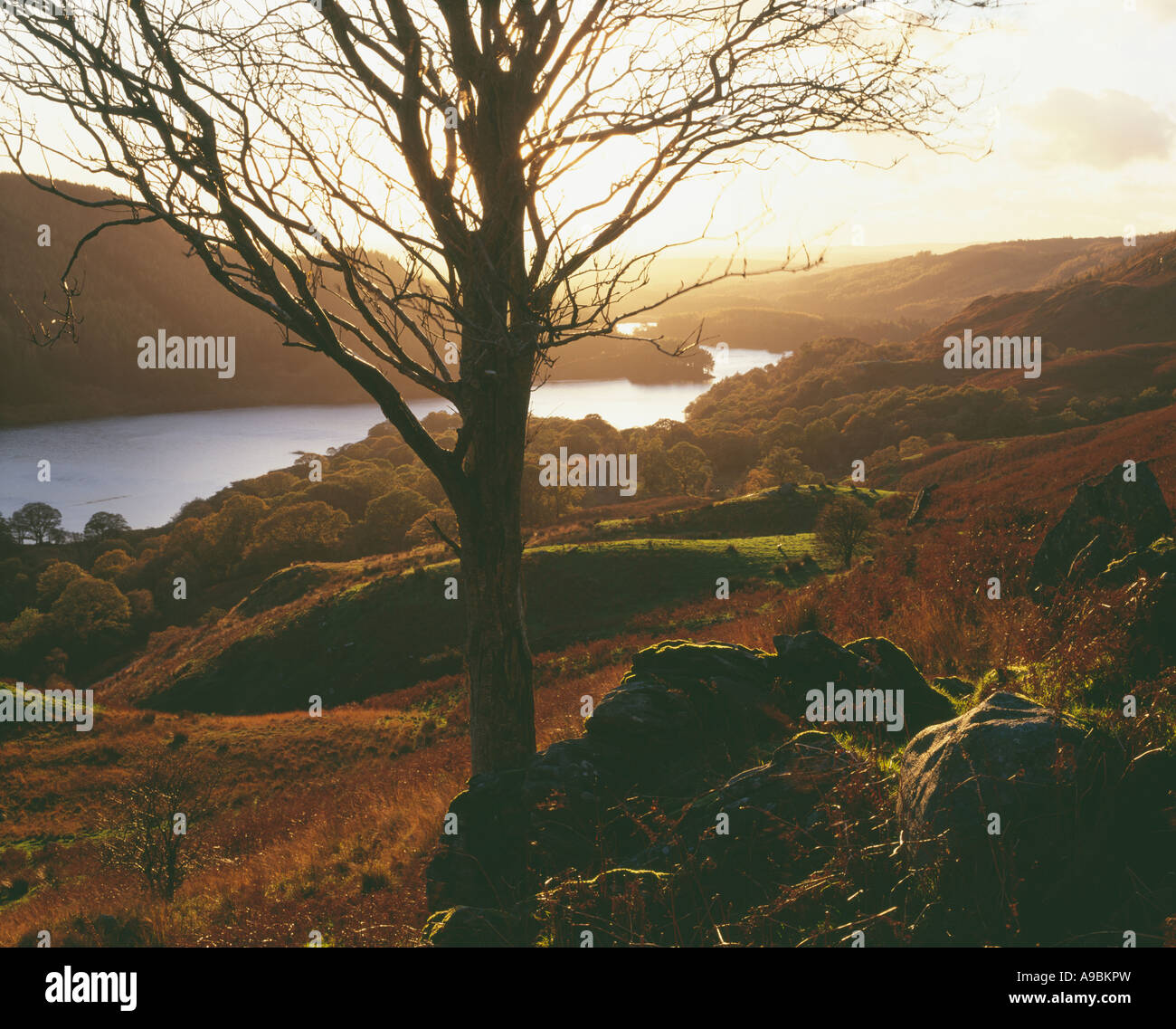 An autumnal Glen Trool near sunset looking down Loch Trool winding its ...