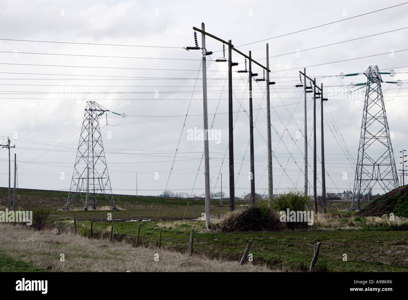 High voltage power transmission lines, Delta, British Columbia, BC, Canada Stock Photo - Alamy