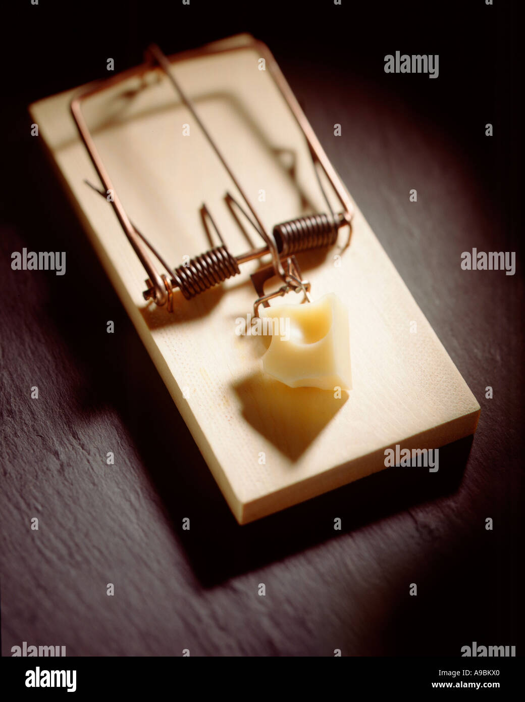 Rat shock hi-res stock photography and images - Alamy