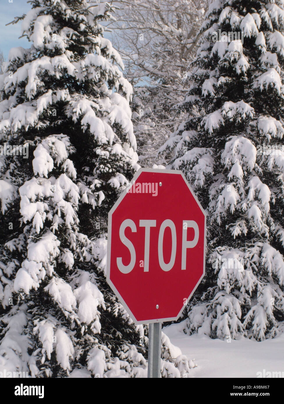 AJD42588, road sign, Stop Sign Stock Photo - Alamy