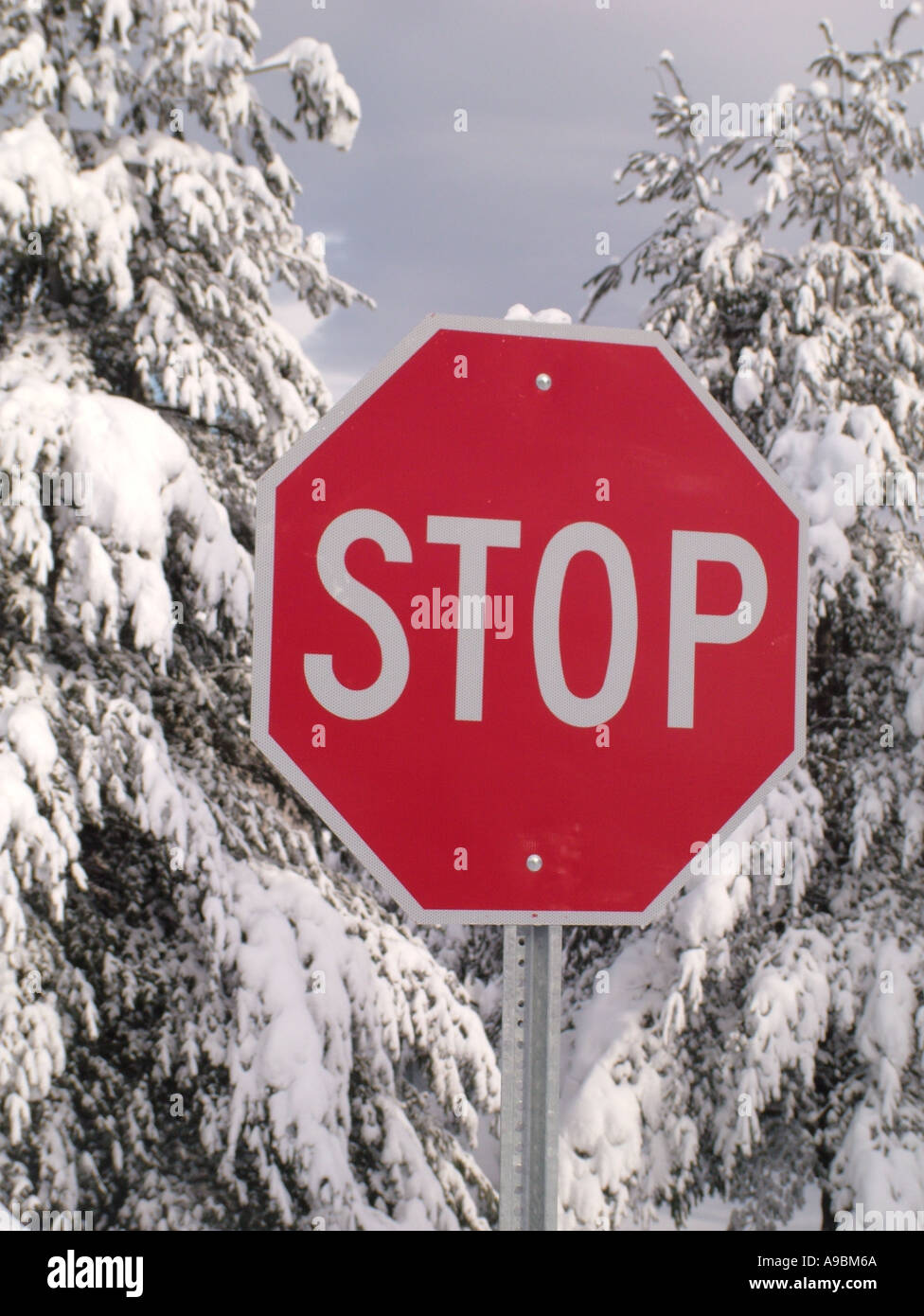 AJD42589, road sign, Stop Sign Stock Photo - Alamy